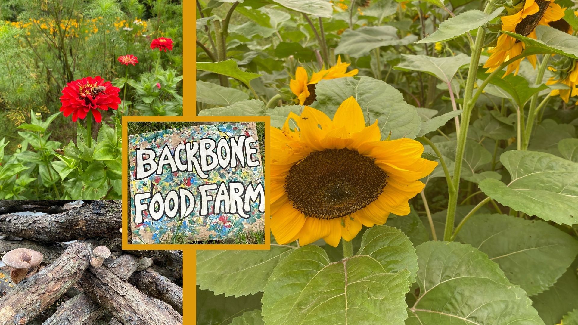 Backbone Food Farm - +3 Prize Points - Go! Garrett County