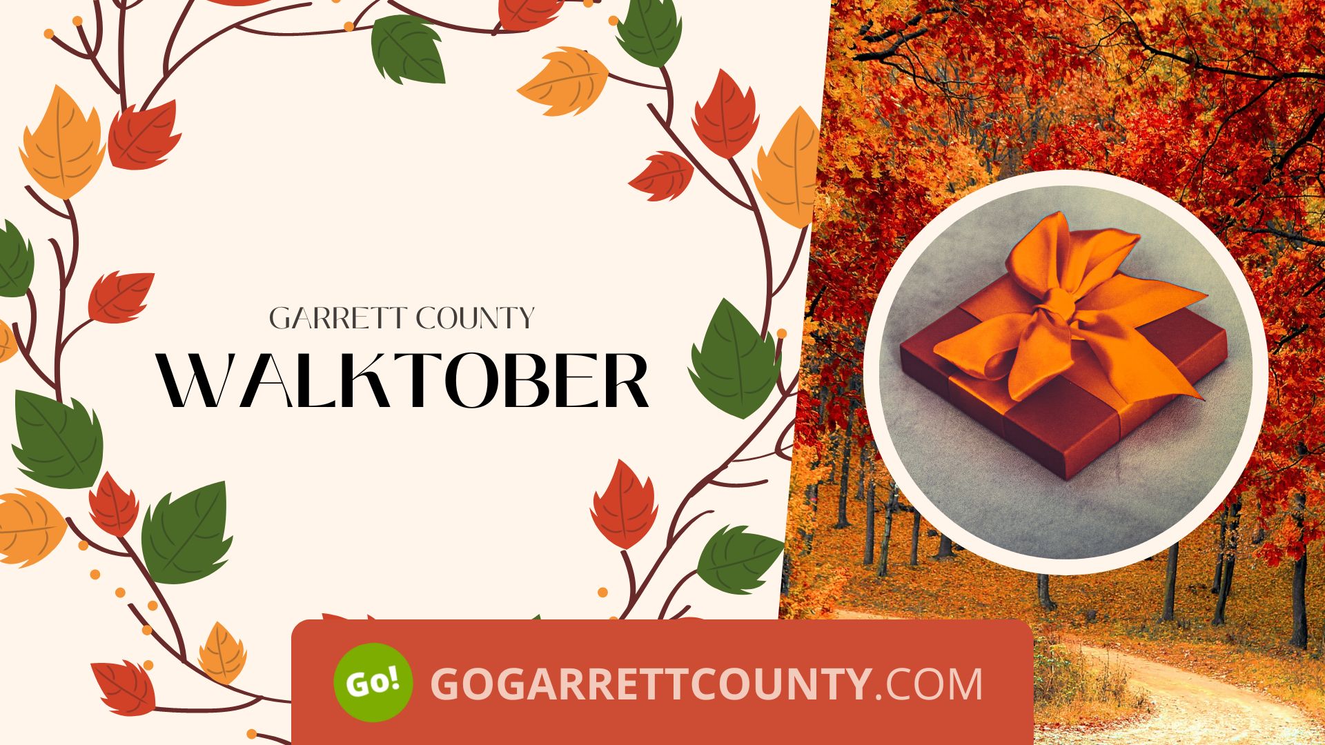 Fitbit Challenge Participant Mary Ann Rizer Is Our Winner This Week ...