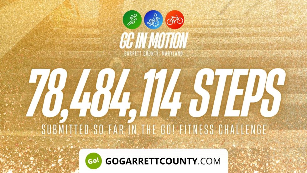 78 MILLION+ STEPS/ACTIVITY RECORDS! – Step/Activity Challenge Weekly ...