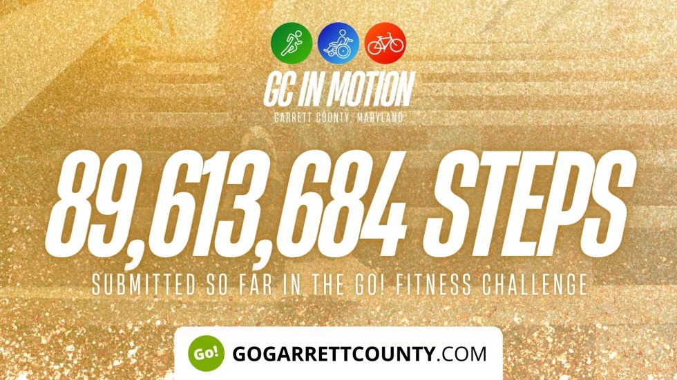 89 MILLION+ STEPS/ACTIVITY RECORDS! – Step/Activity Challenge Weekly ...