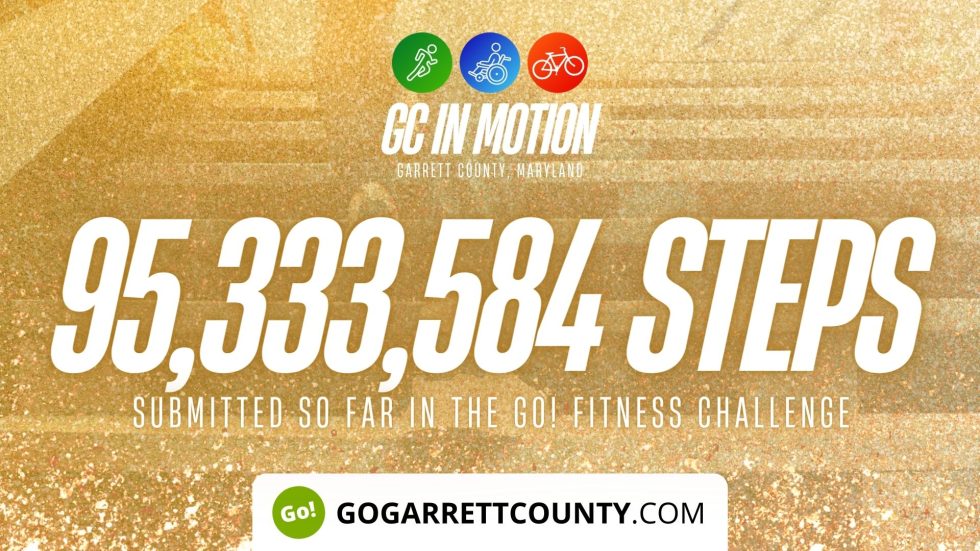 95 MILLION+ STEPS/ACTIVITY RECORDS! – Step/Activity Challenge Weekly ...