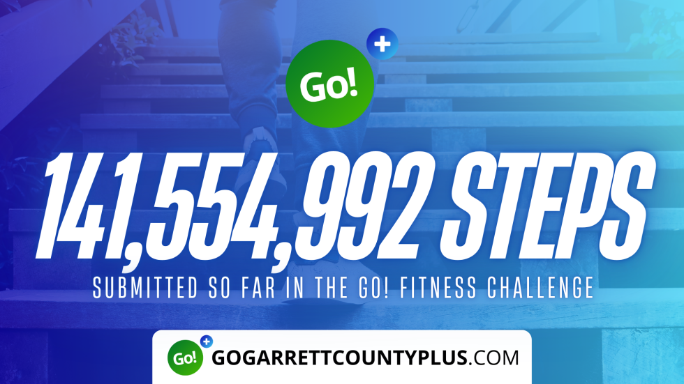 141 MILLION+ STEPS/ACTIVITY RECORDS! – Step/Activity Challenge Weekly ...