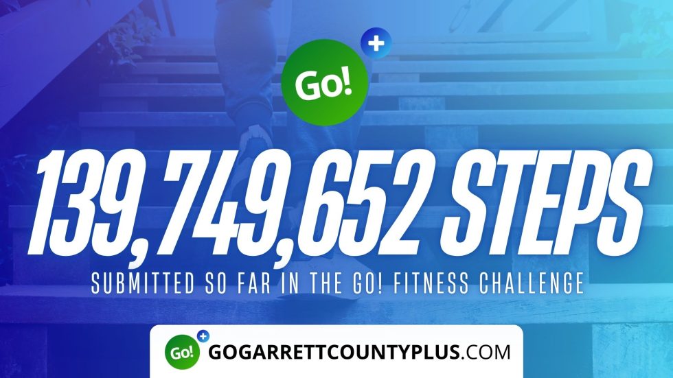 139 MILLION+ STEPS/ACTIVITY RECORDS! – Step/Activity Challenge Weekly ...